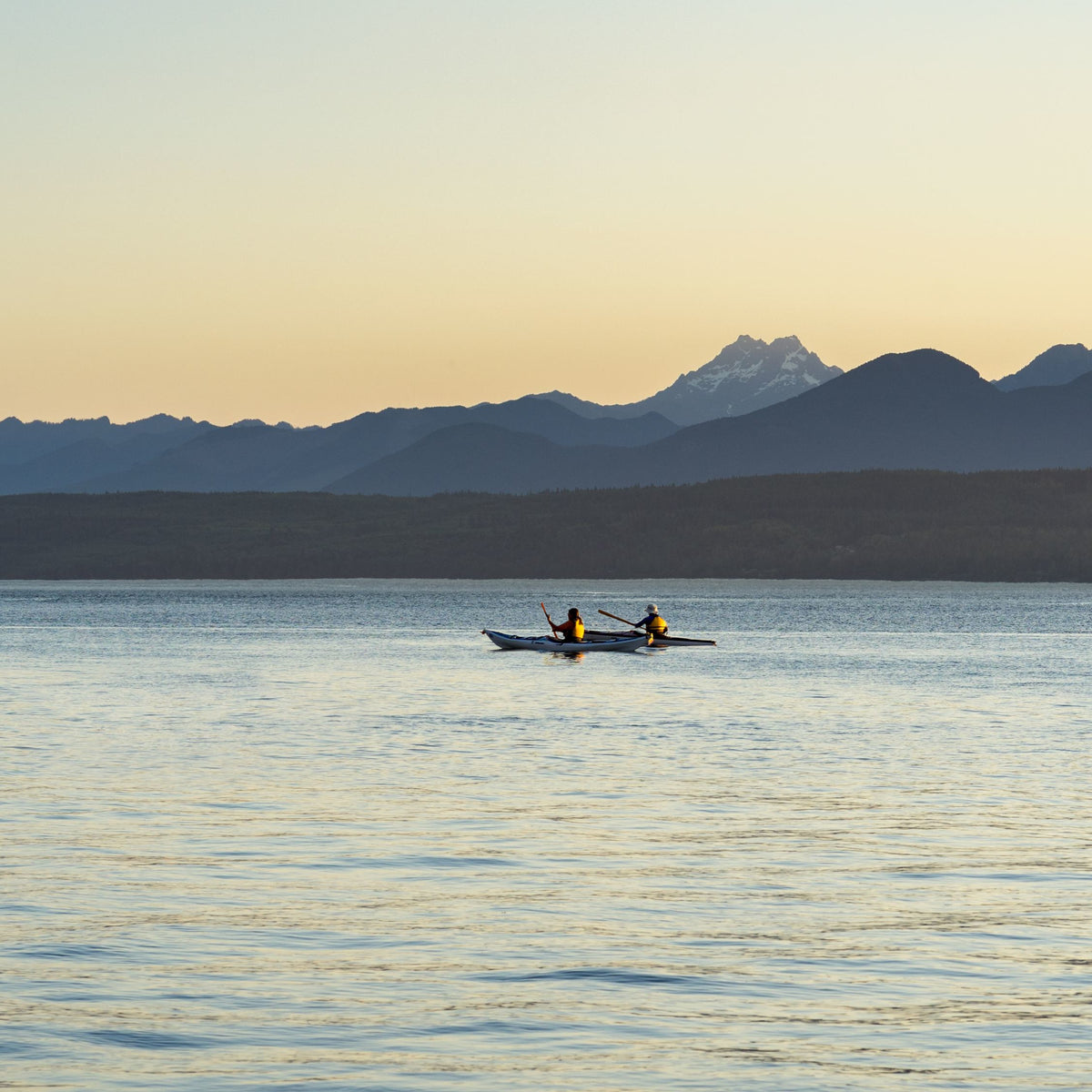 Gearlab Lightweight Performance Carbon Fiber Greenland Paddles ...